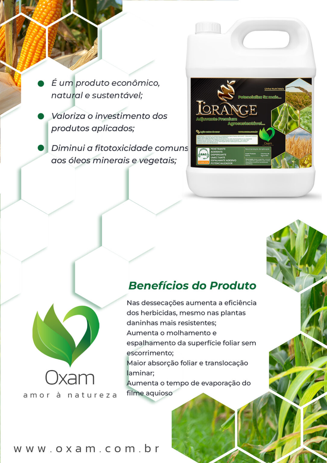 Catálogo Oxam 2024 – Oxam: Amor à Natureza